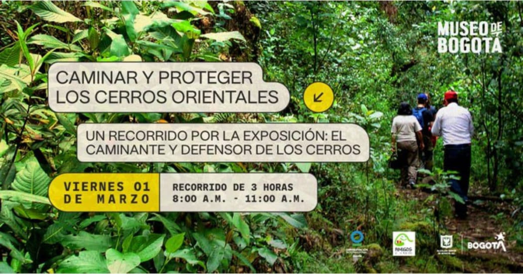 Inscríbase a la caminata para descubrir la riqueza de los cerros en ...